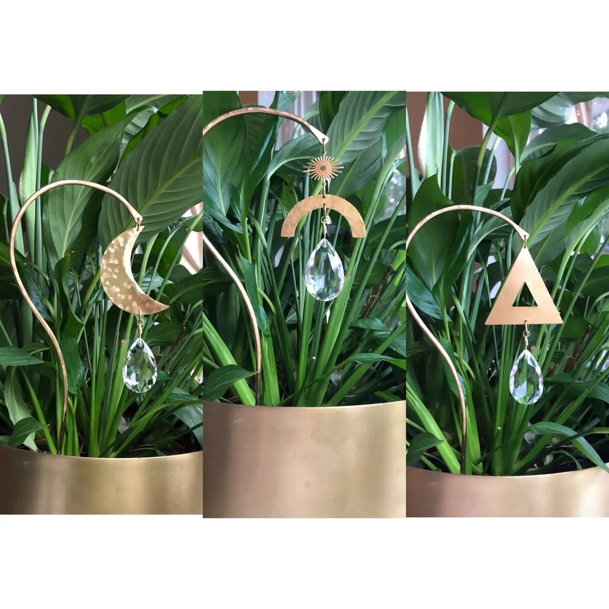 Plant Stick Suncatcher - Trinity – Root Adorned